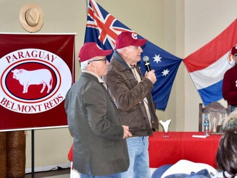Belmont red cattle video & photo gallery